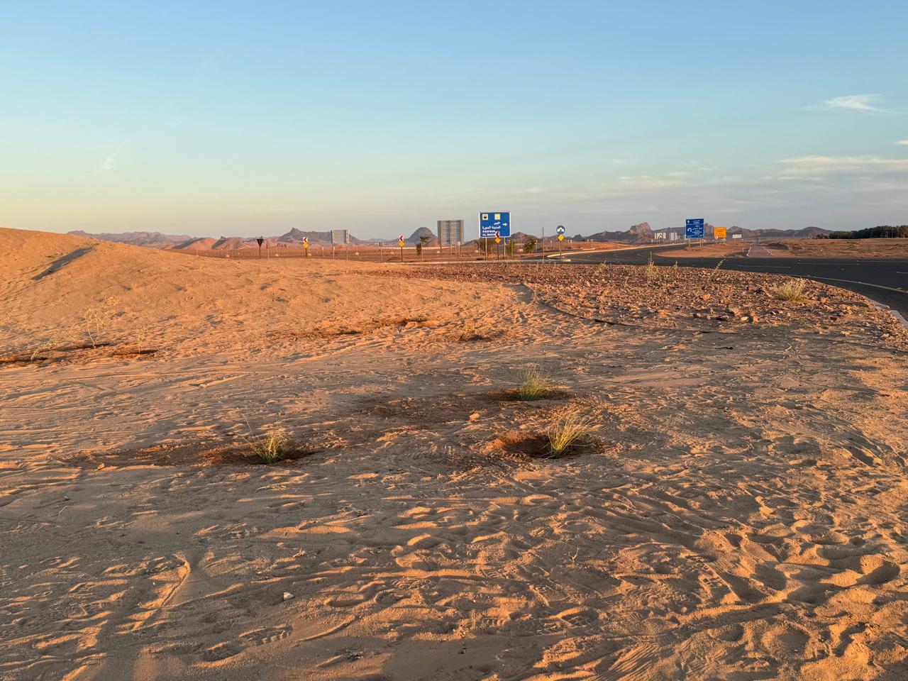 AlUla Airport Road Landscape Work – Astra Construction